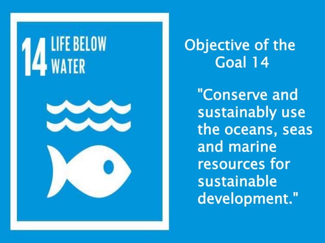 SDG Goal 14 | PPT