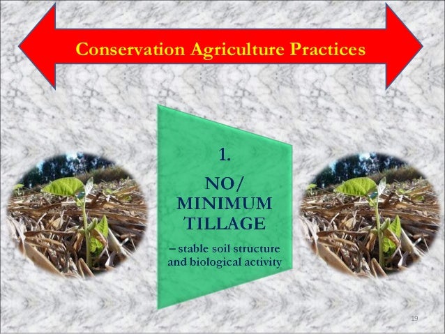 conservation agriculture