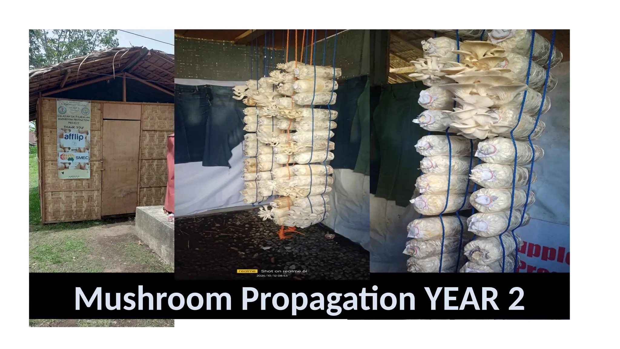 GULAYAN SA PAARALAN AFFLIP ACCOMPLISHMENT | PPT