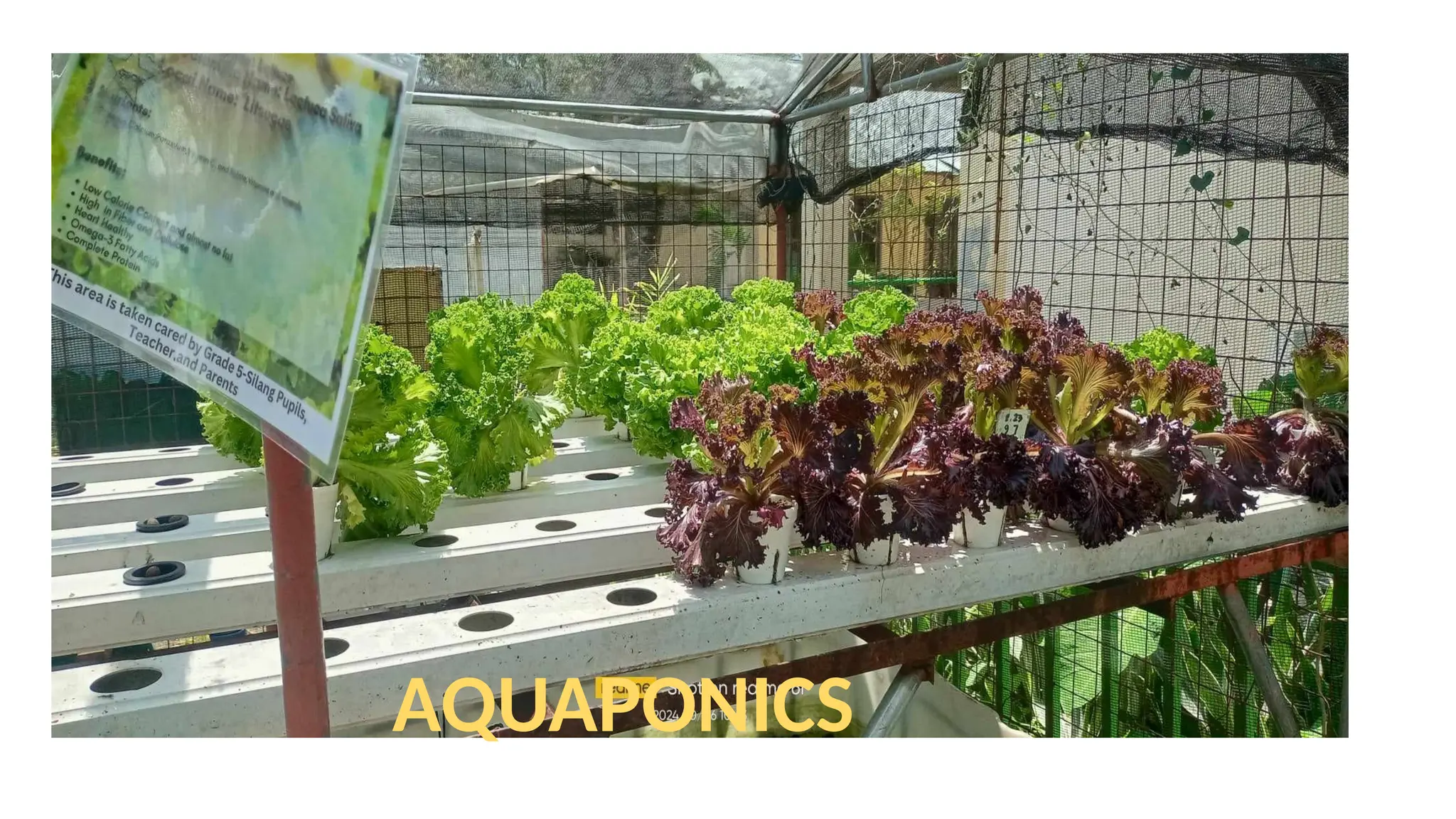 GULAYAN SA PAARALAN AFFLIP ACCOMPLISHMENT | PPT