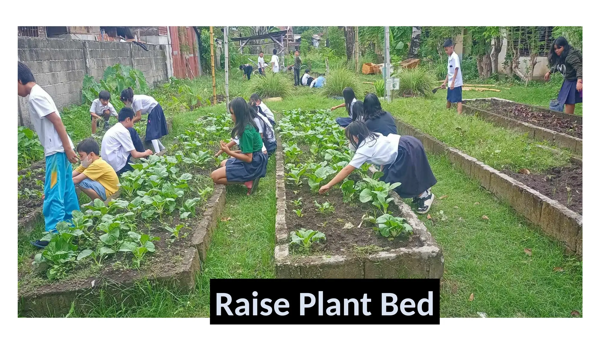 GULAYAN SA PAARALAN AFFLIP ACCOMPLISHMENT | PPT