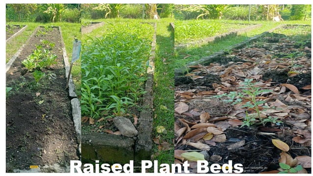 GULAYAN SA PAARALAN AFFLIP ACCOMPLISHMENT | PPT