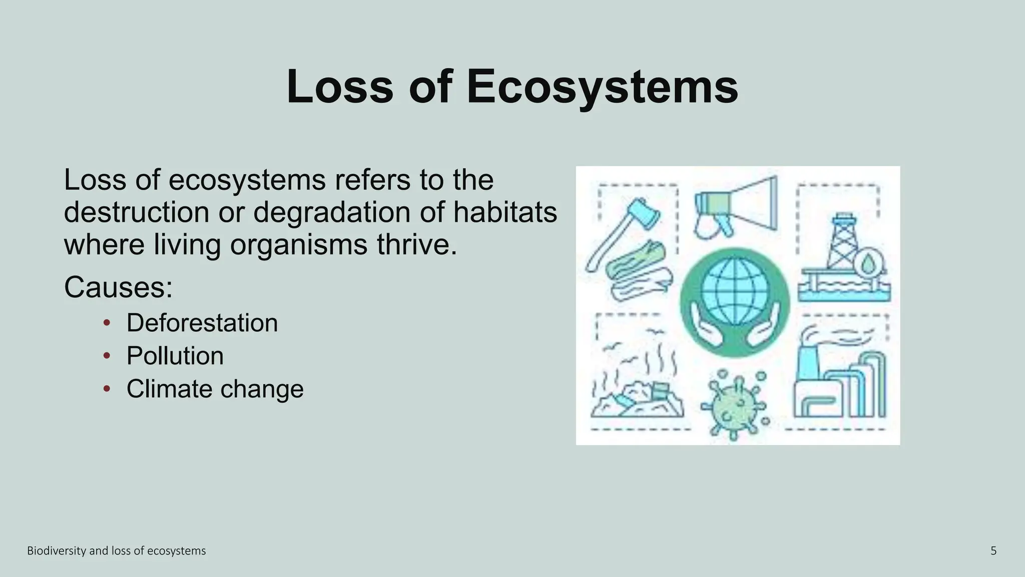Presentation on Climate Change grade 5.pptx