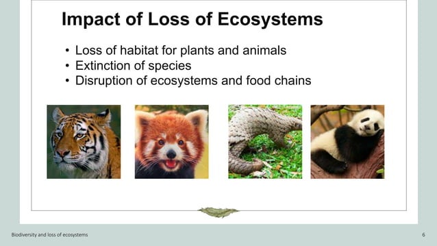 Presentation on Climate Change grade 5.pptx | Environment | Science
