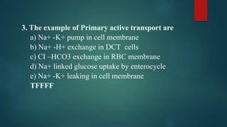 GPRespiratory-Physiology.pptx
