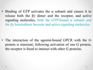 G protein coupled receptor | PPTX