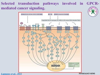 G Protein Coupled Receptor- An Introduction. | PPTX