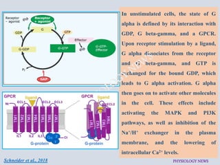 G Protein Coupled Receptor- An Introduction. | PPTX