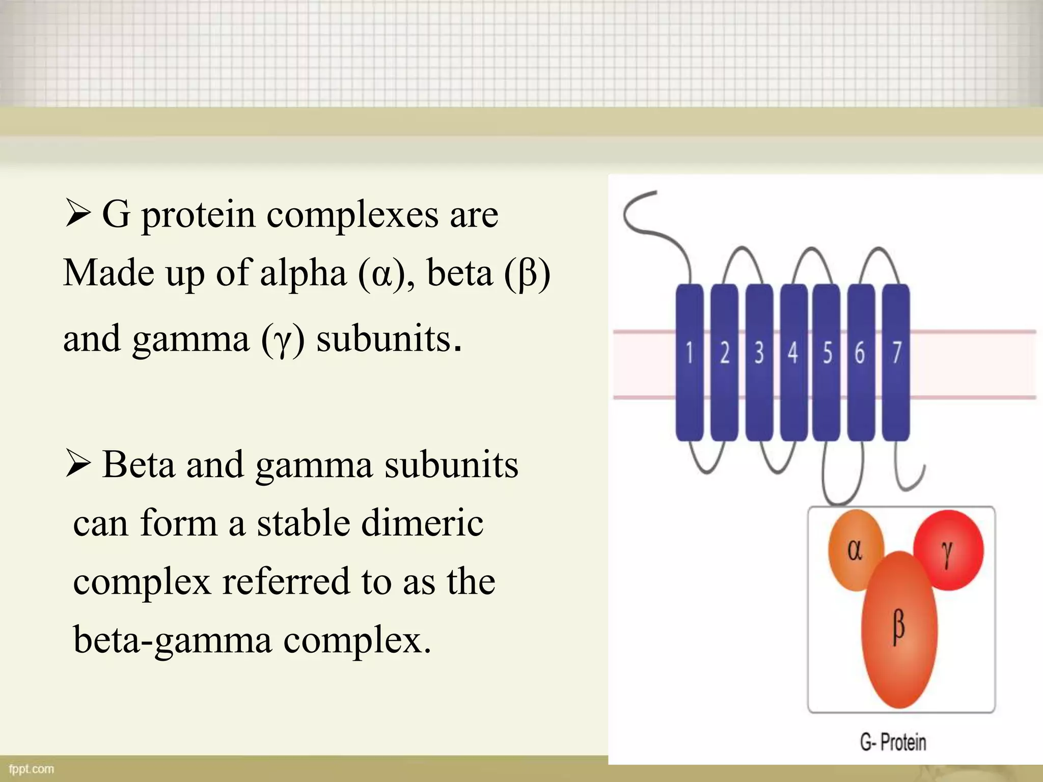 G protein coupled receptors and their Signaling Mechanism | PPTX