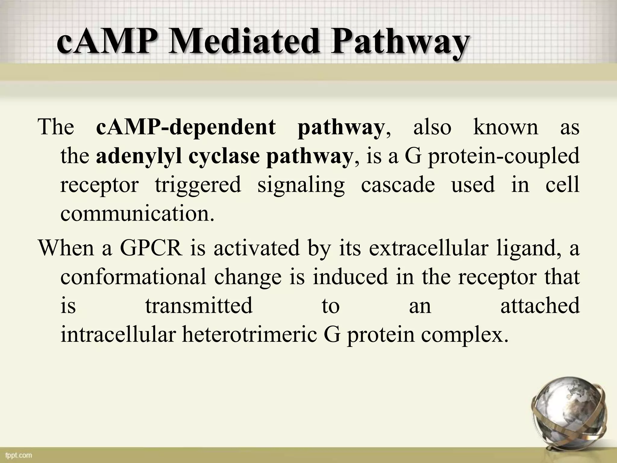 G protein coupled receptors and their Signaling Mechanism | PPTX