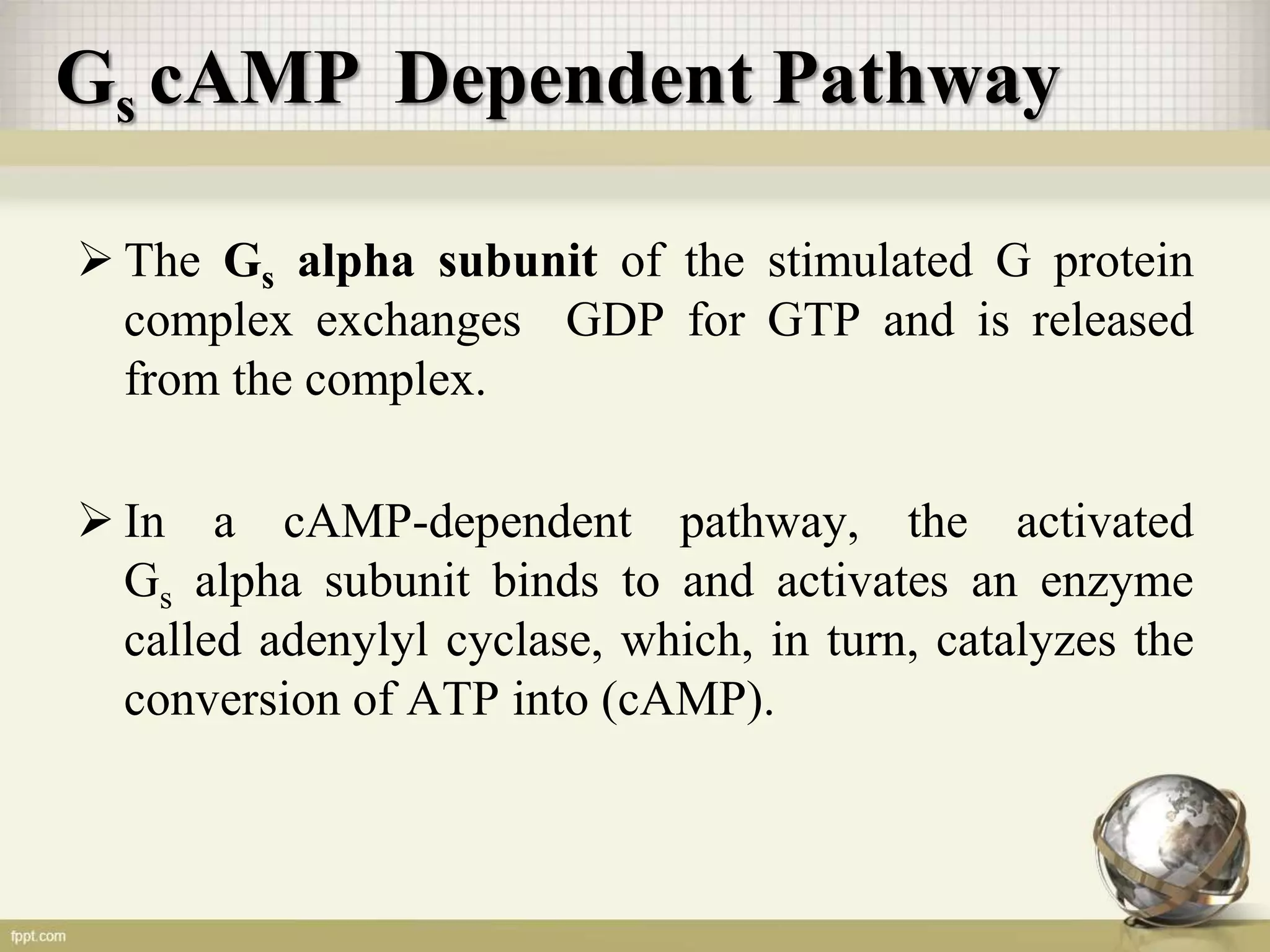 G protein coupled receptors and their Signaling Mechanism | PPTX