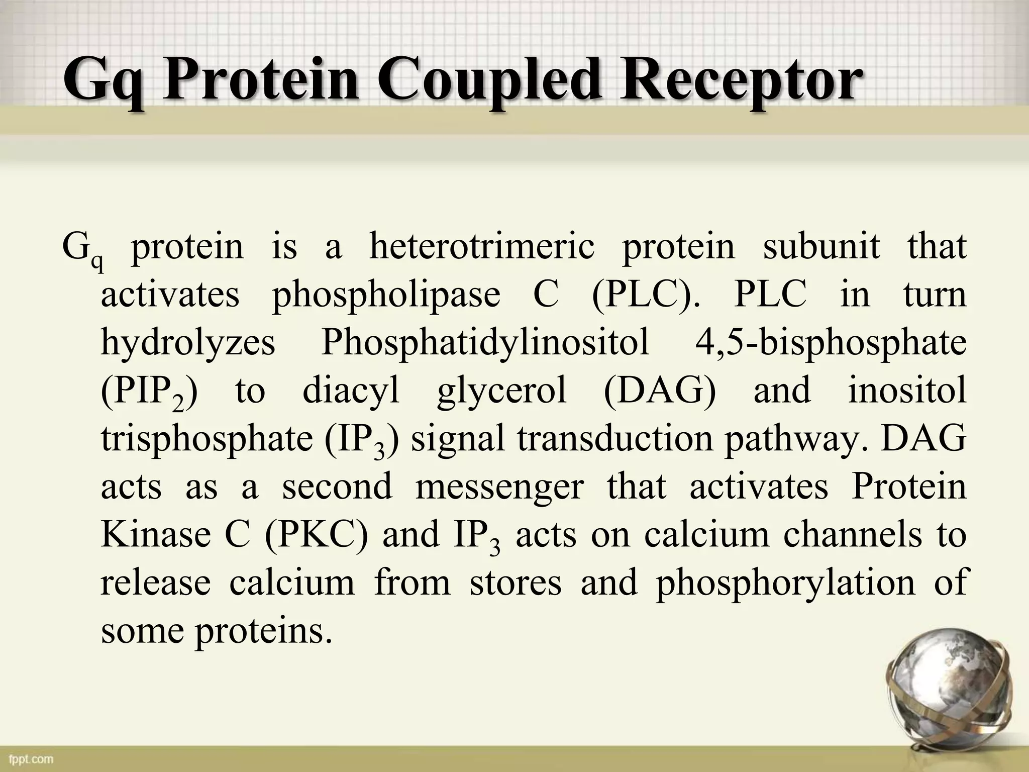 G protein coupled receptors and their Signaling Mechanism | PPTX