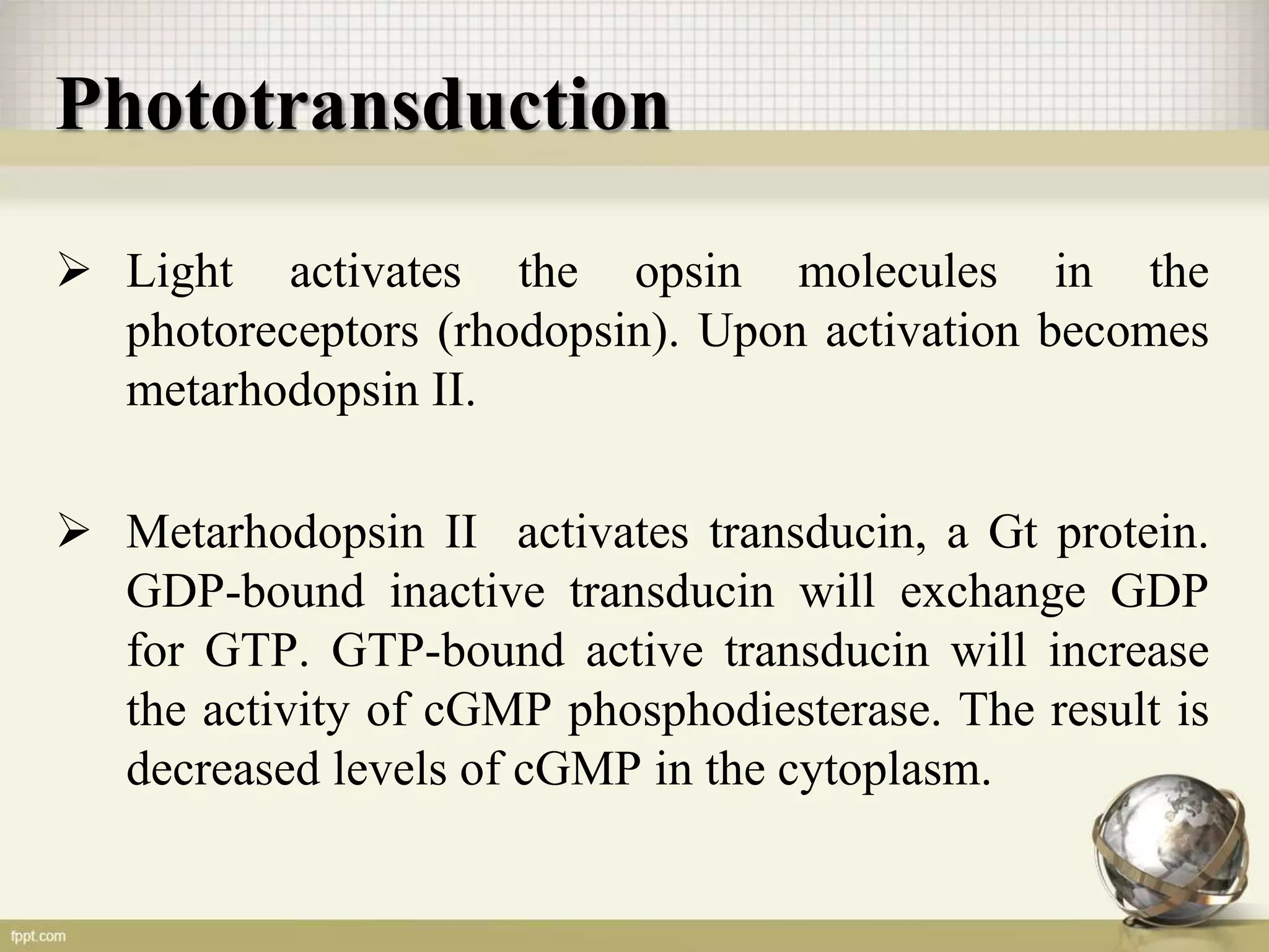 G protein coupled receptors and their Signaling Mechanism | PPTX