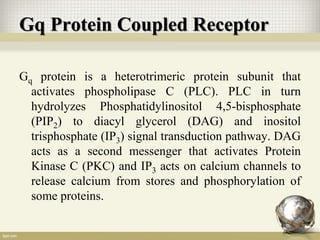 Signal Transduction Pathway G Protein