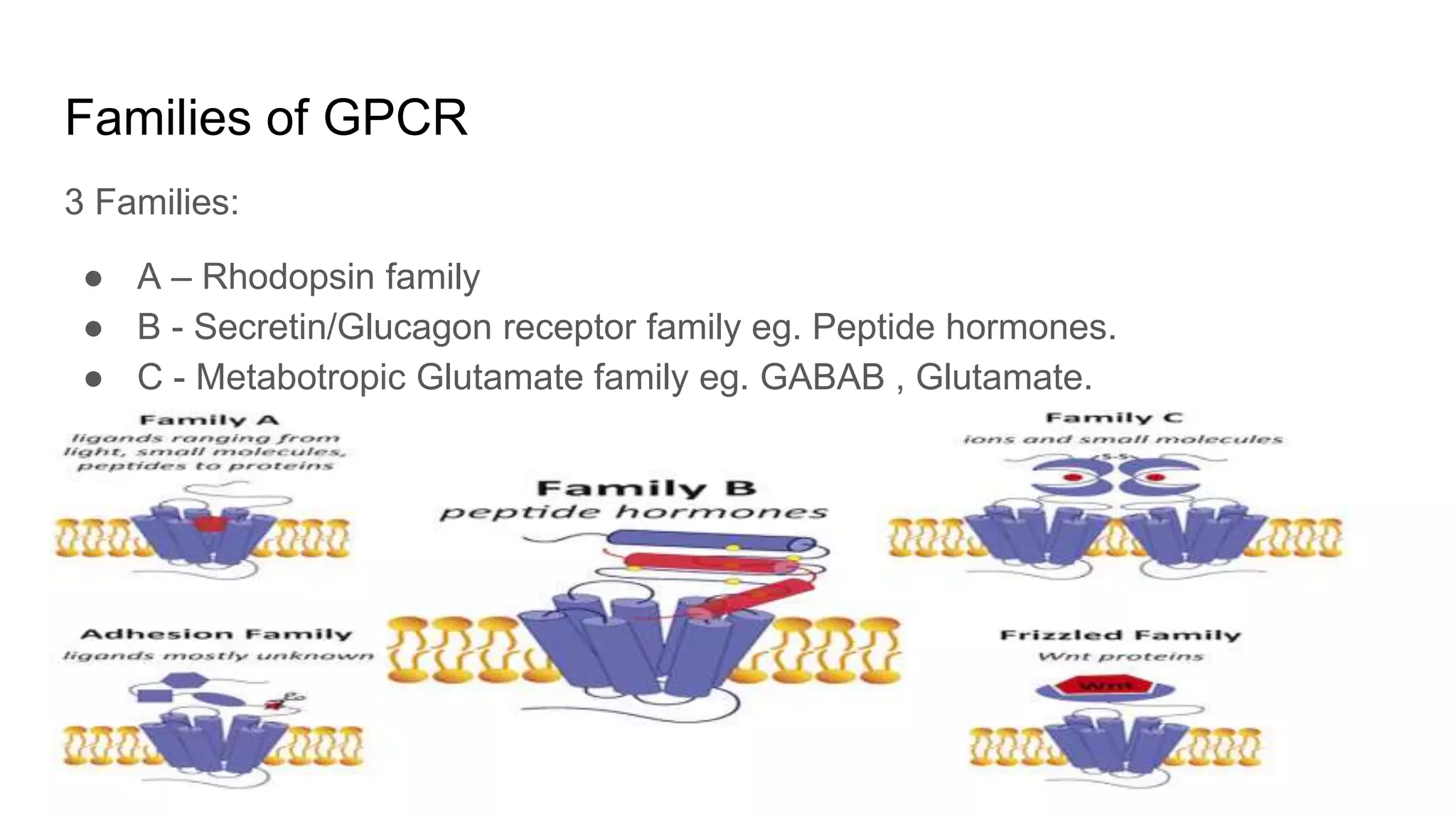 G Protein Coupled Receptors.pptx