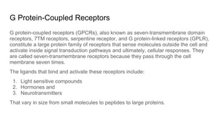G Protein Coupled Receptors.pptx | Endocrine and Metabolic Diseases ...