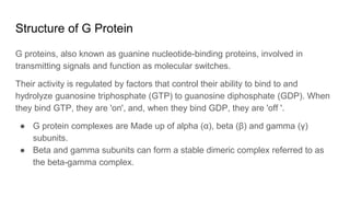 G Protein Coupled Receptors.pptx | Endocrine and Metabolic Diseases ...