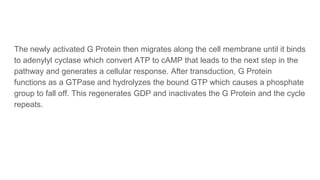 G Protein Coupled Receptors.pptx