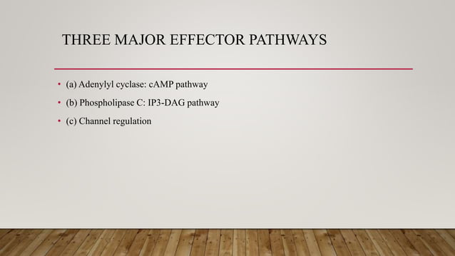 G PROTEIN COUPLED RECEPTORS(GPCRs) Cell Membrane Receptor | PPTX ...