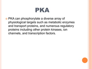 G protein coupled receptors | PPTX