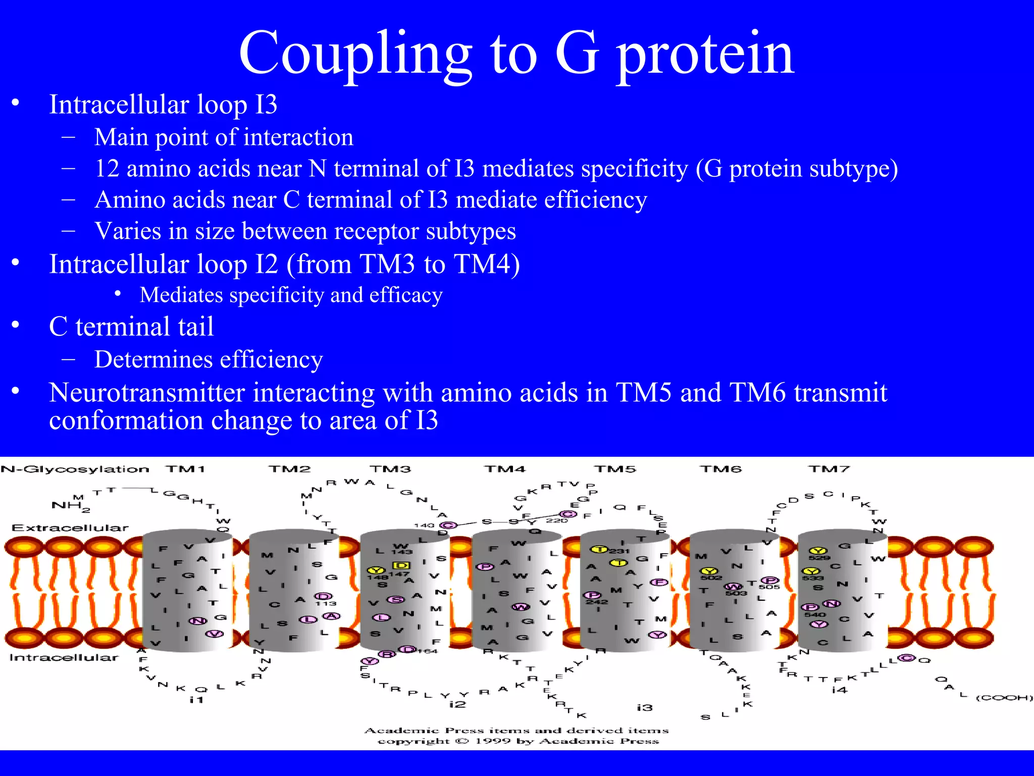 G protein couple receptors si | PPT | Genetics | Science