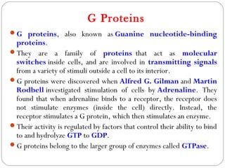 G Proteins | PPT