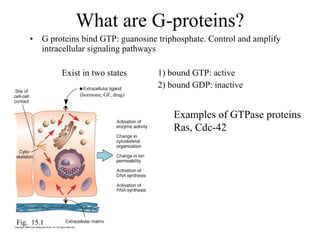 G protein signal | PPT
