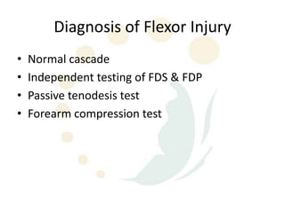 Gps flexor-tendon-talk | PPTX
