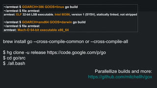 Developing Applications for Beagle Bone Black, Raspberry Pi and SoC Single Board ARM Computers ...