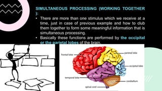 General psychology power point presentation | PPTX