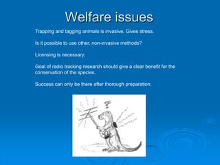 Gps tracking of mustelids | PDF