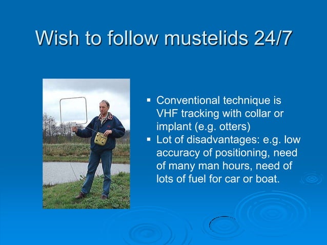 Gps tracking of mustelids | PDF