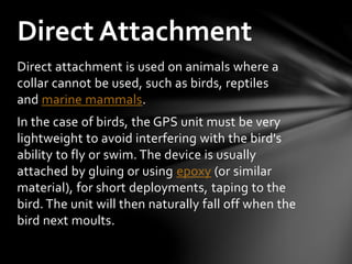 Gps wildlife | PPTX