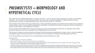 Pneumocystosis - P. carinii, P. jirovecii | PPTX