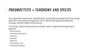 Pneumocystosis - P. carinii, P. jirovecii | PPTX