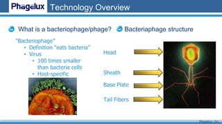 Mark Engel, CEO, Phagelux | PPT
