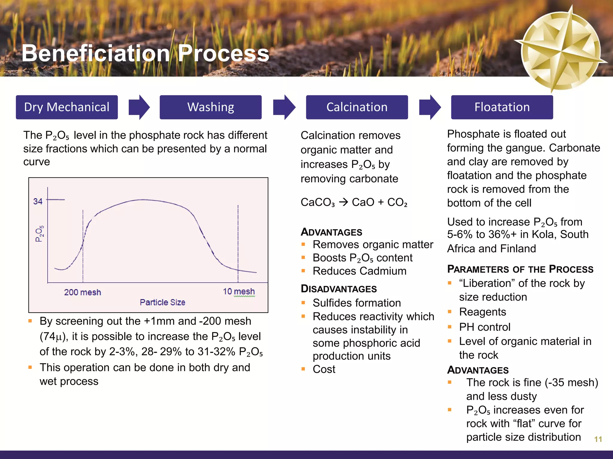 Great Quest Phosphate Primer | PDF