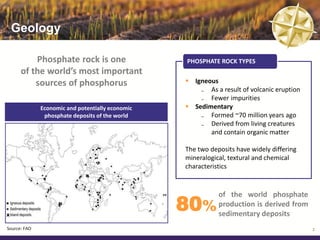 Great Quest Phosphate Primer | PDF