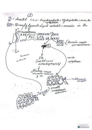 Gq Signaling with respect to Muscarinic Receptorspdf | PDF