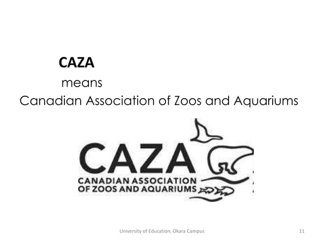 Zoology Related Software | PPT