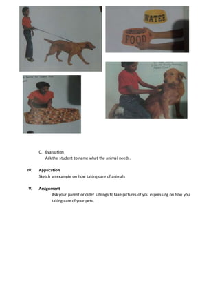 Gr.2 animal care | DOCX