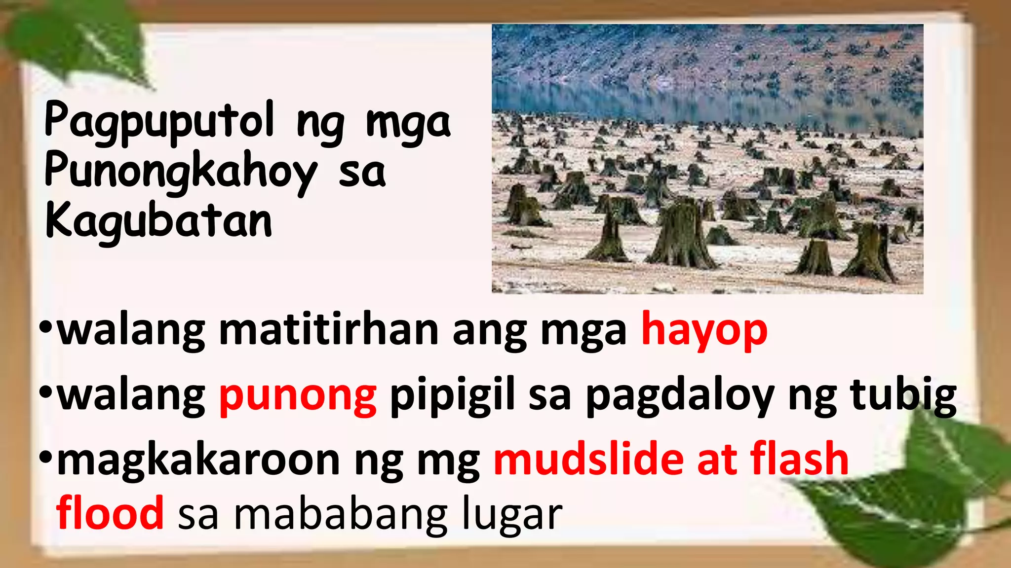 Pagkasira ng Kalikasan | PPTX