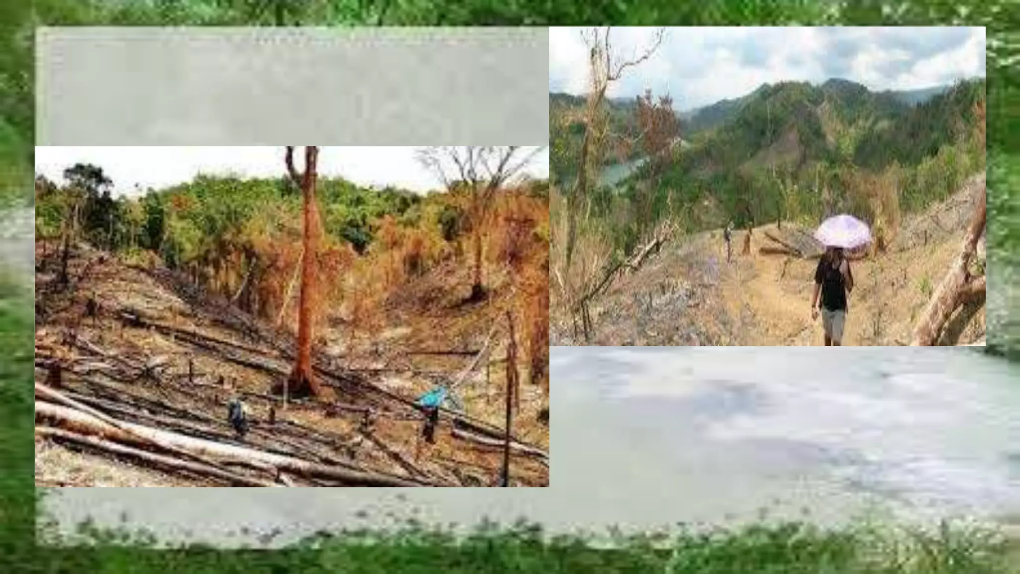 Pagkasira ng Kalikasan | PPTX