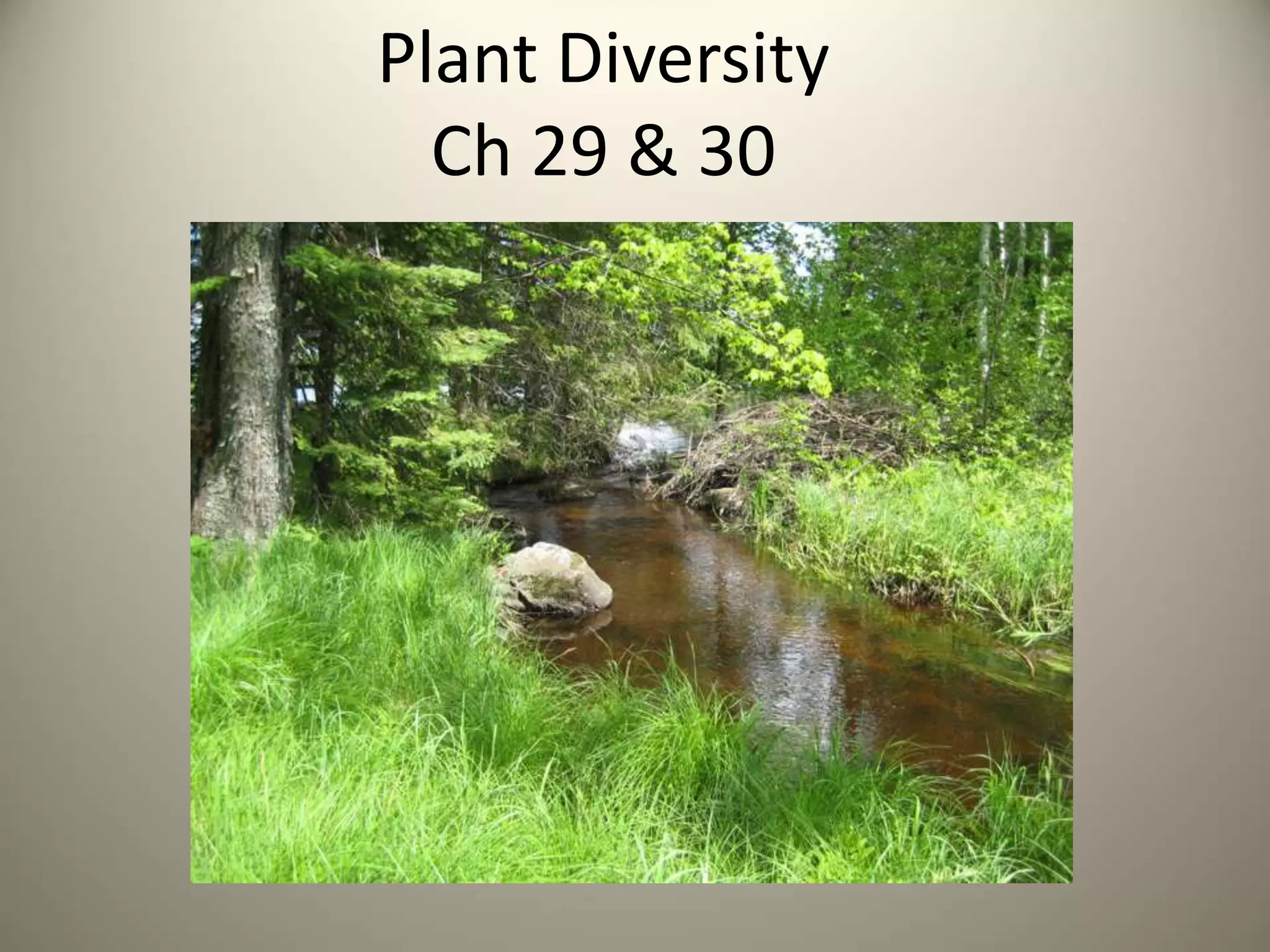 Gr. 11 - Plant diversity.ppt