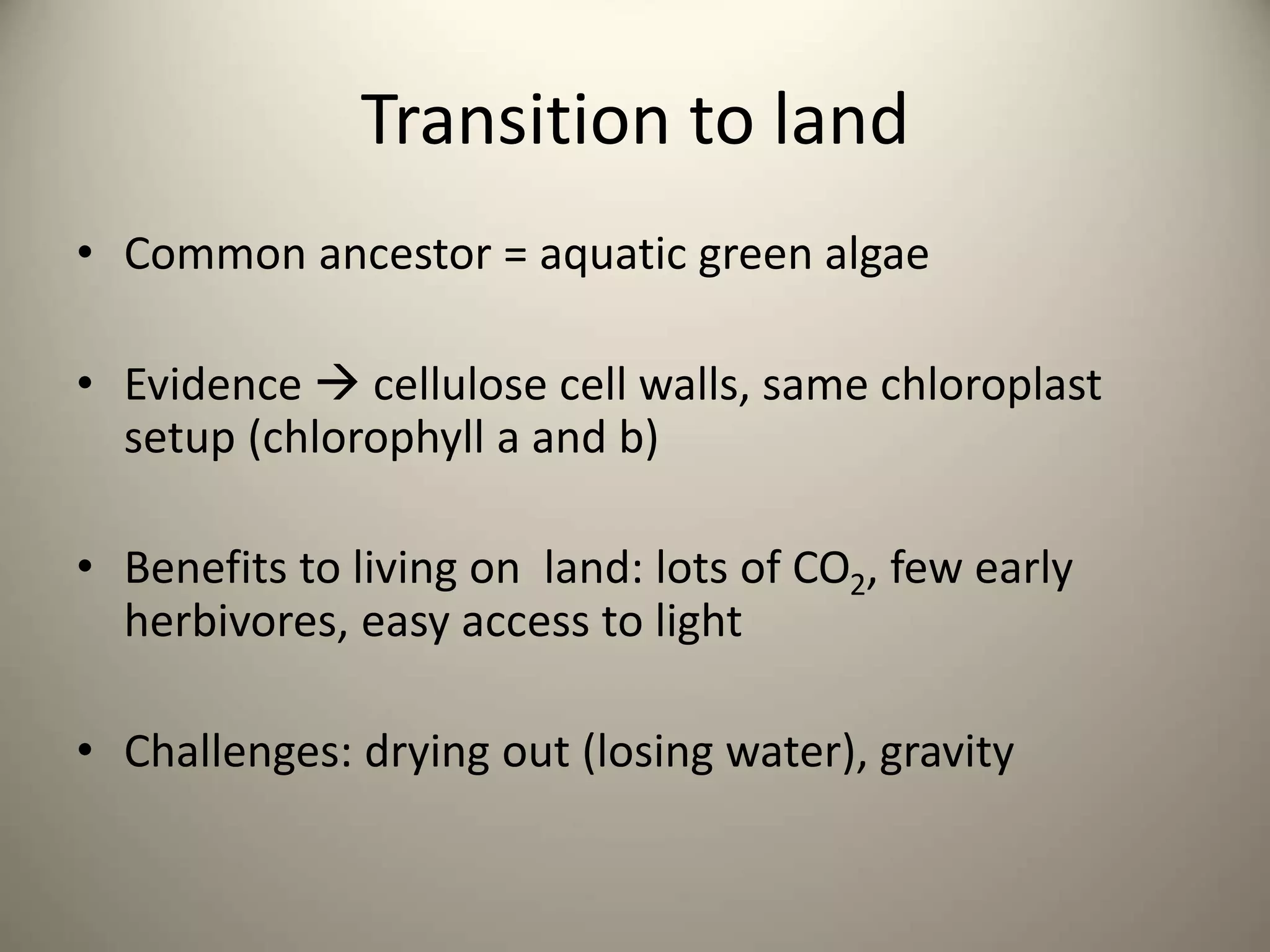 Gr. 11 - Plant diversity.ppt