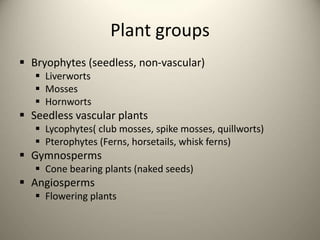 Gr. 11 - Plant diversity.ppt