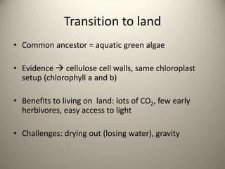 Gr. 11 - Plant diversity.ppt