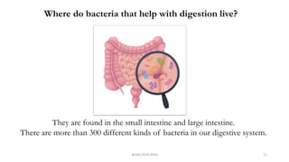 Gr.6 - Science - Ch1 L10 - The Importance of Bacteria.pdf