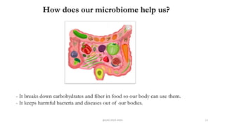 Gr.6 - Science - Ch1 L10 - The Importance of Bacteria.pdf | Digestive ...
