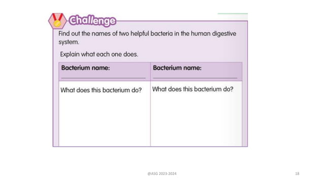 Gr.6 - Science - Ch1 L10 - The Importance of Bacteria.pdf | Digestive ...